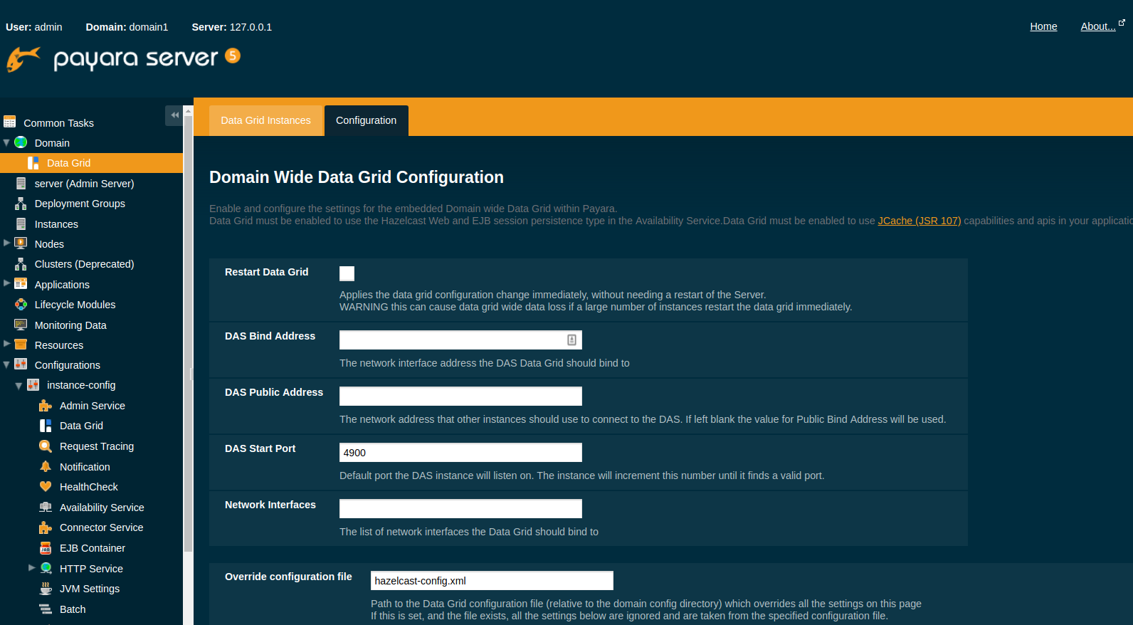 Data Grid Configuration Payara Community Documentation
